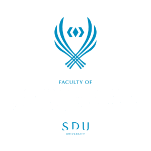QueenCodes - SDU University